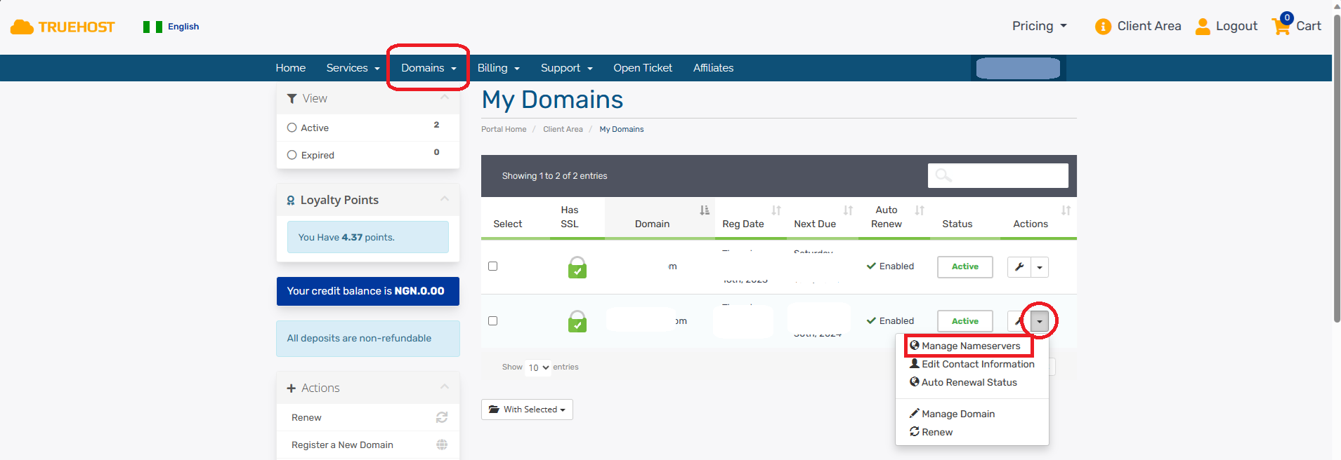 Step 4 How To Connect Your Domain Name And Hosting If You Bought Them