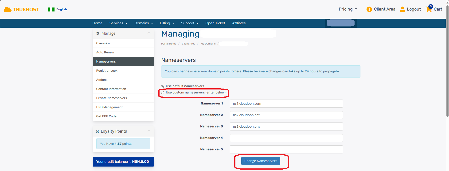 Step 4 How To Connect Your Domain Name And Hosting If You Bought Them